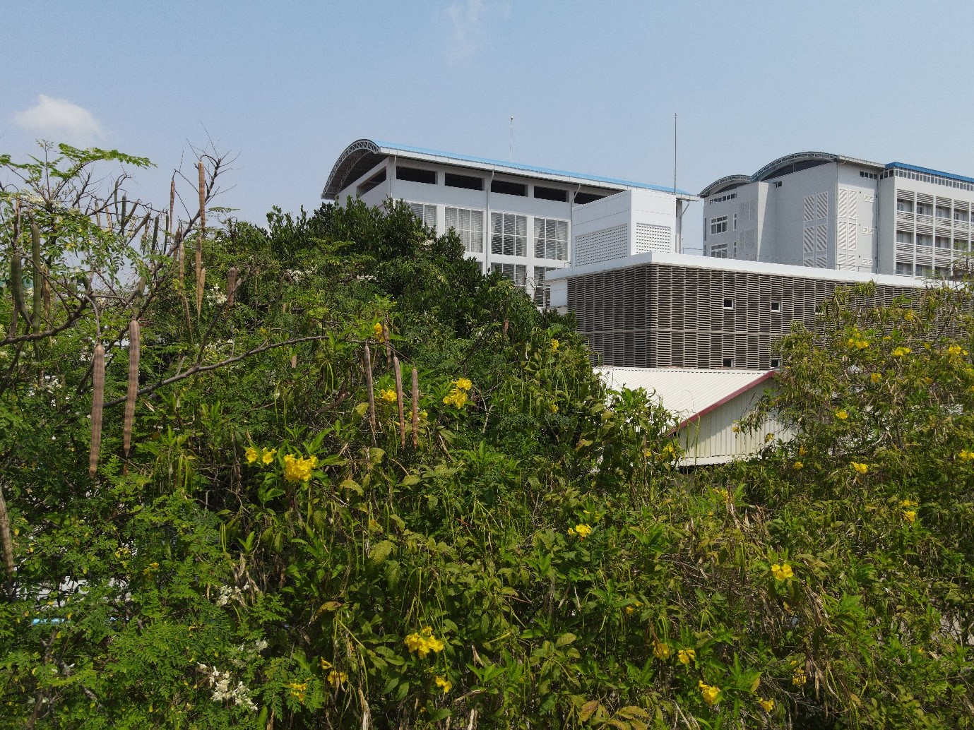 Campuses - INSTITUTE OF TECHNOLOGY OF CAMBODIA